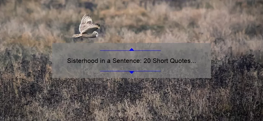 Sisterhood in a Sentence: 20 Short Quotes to Celebrate the Bond ...