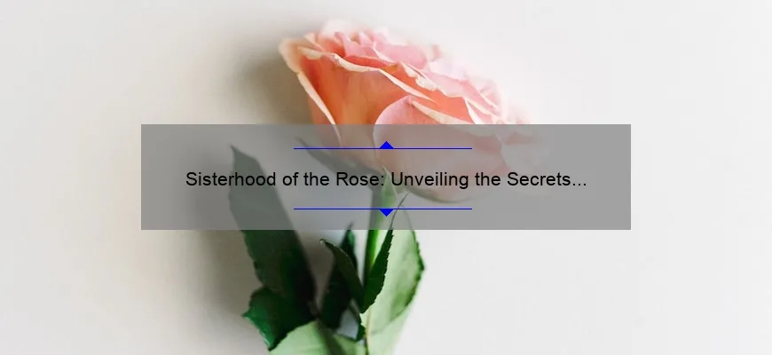Sisterhood of the Rose: Unveiling the Secrets [with Jim Marrs] - A ...
