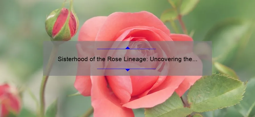 Sisterhood of the Rose Lineage: Uncovering the Mysteries, Sharing the ...