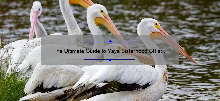 The Ultimate Guide to Yaya Sisterhood GIFs: How to Find, Use, and Share ...