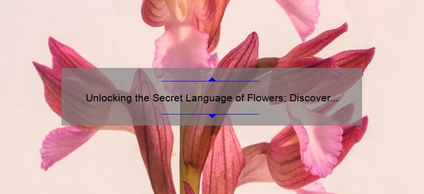 Unlocking the Secret Language of Flowers: Discover the Meaning of ...