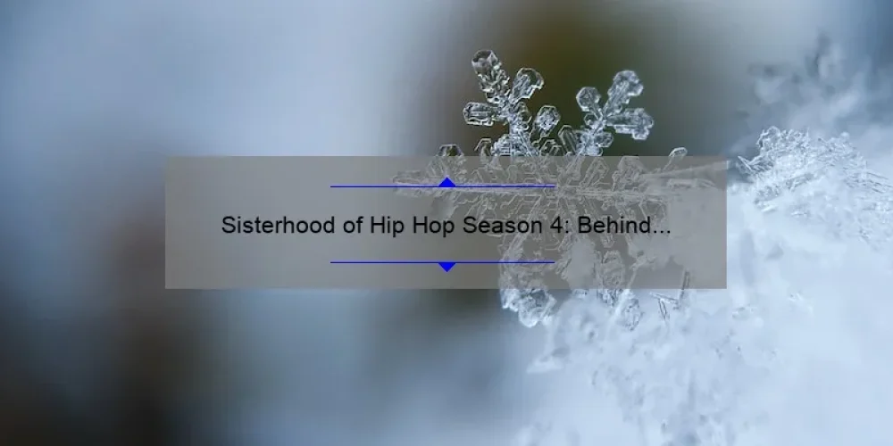 Sisterhood of Hip Hop Season 4: Behind the Scenes Stories, Stats, and Solutions for Fans ...